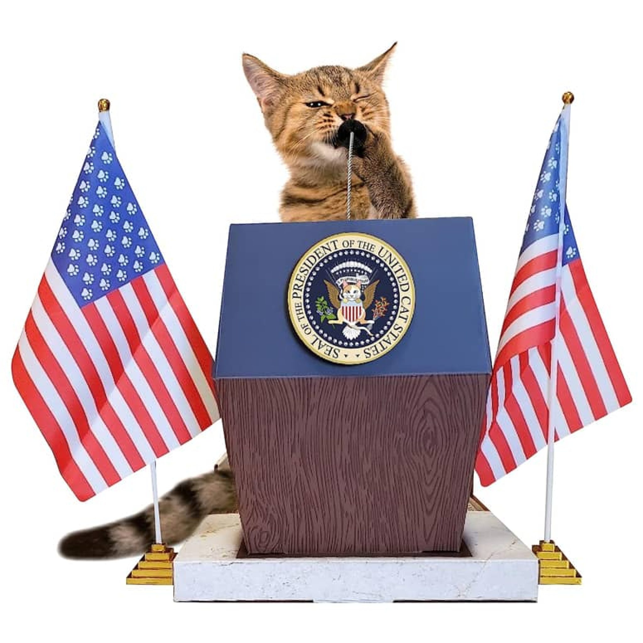 This Presidential Podium Cat Scratcher Gives Your Cat a Political Voice ...